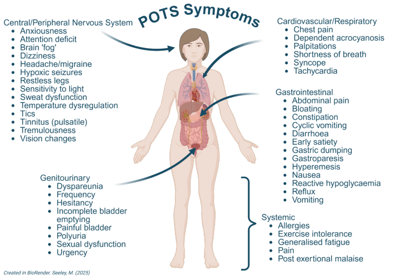 What is POTS? - Australian POTS Foundation » Australian POTS Foundation